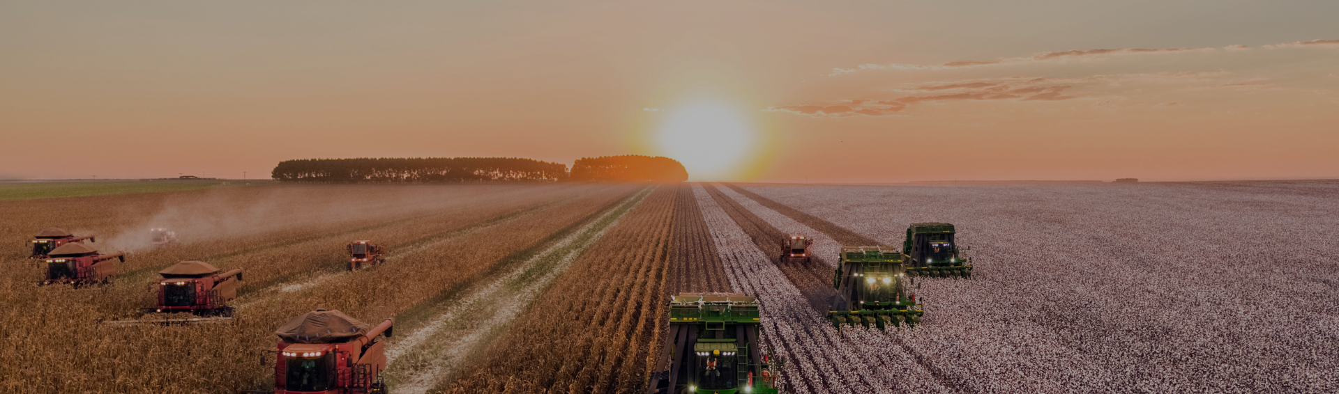 Home - World Liquid Gas (WLGA)