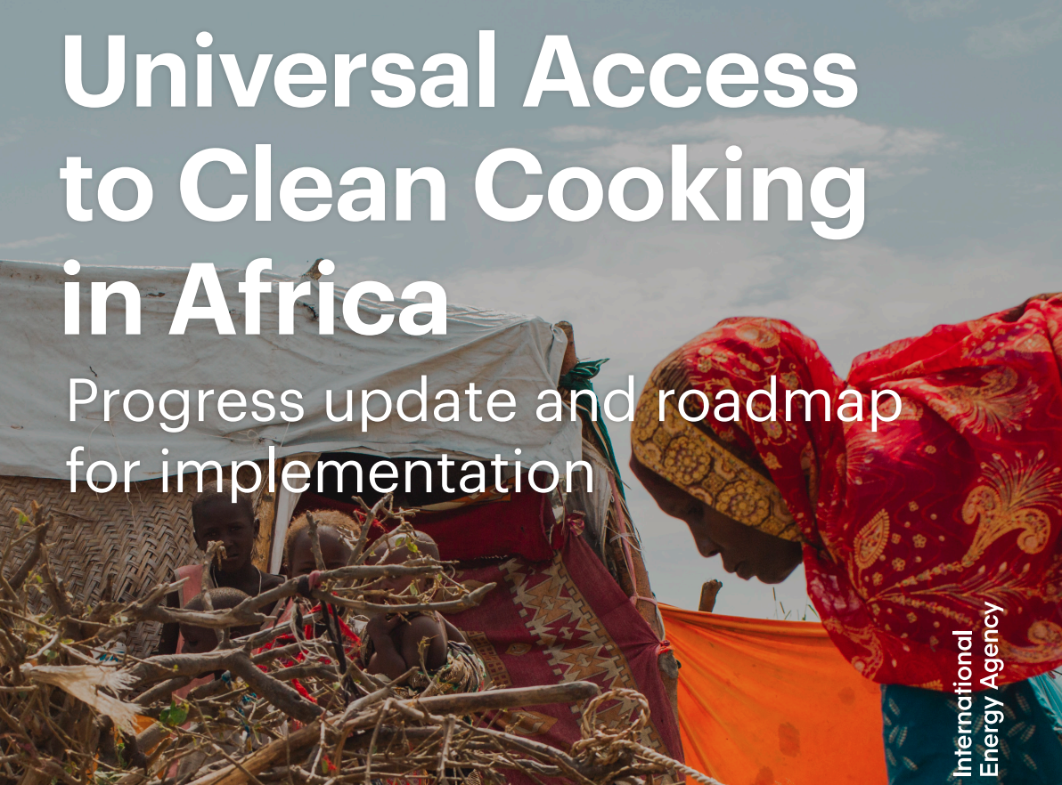 Universal Access to Clean Cooking in Africa - World Liquid Gas (WLGA)